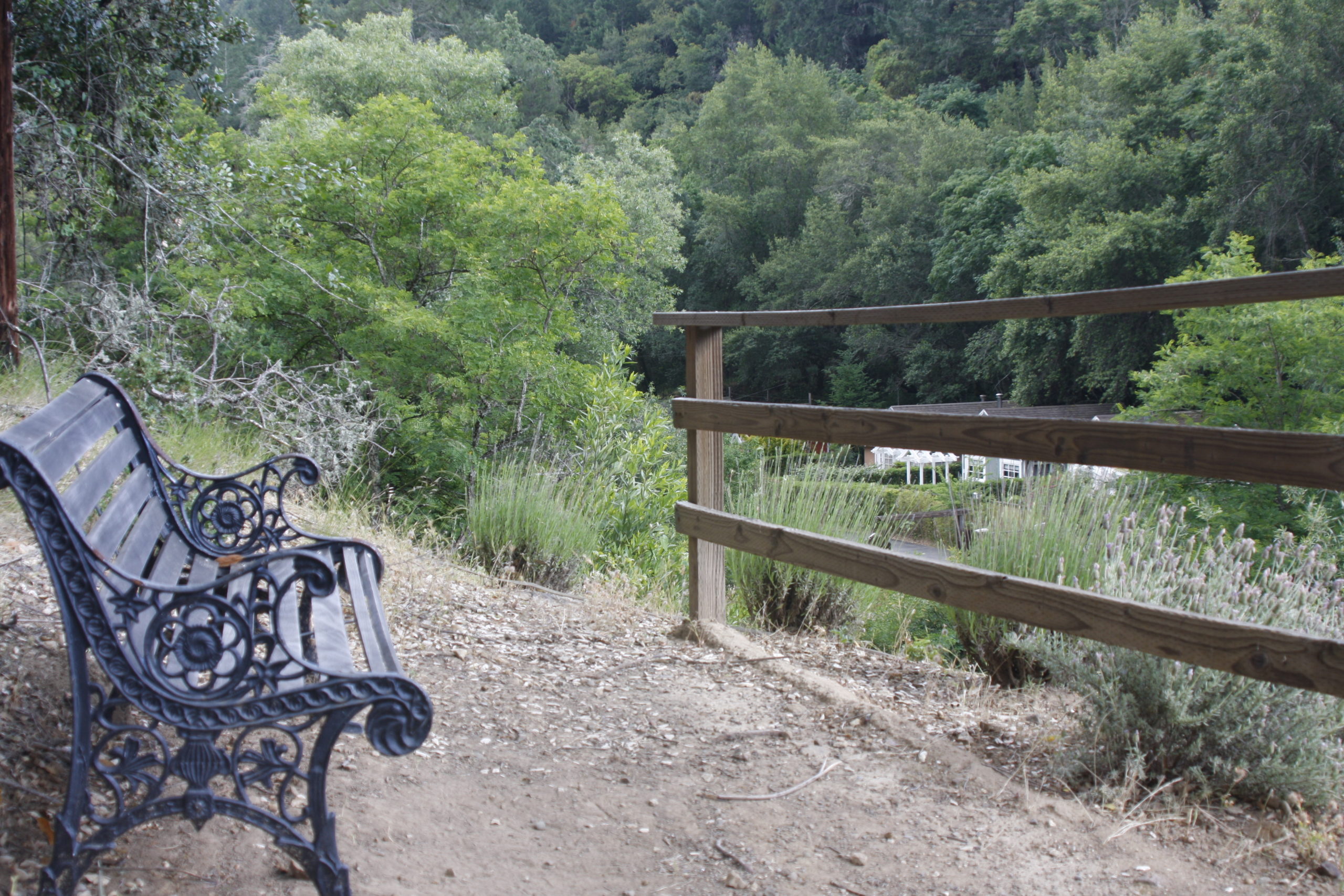 bench | Hoffman Institute